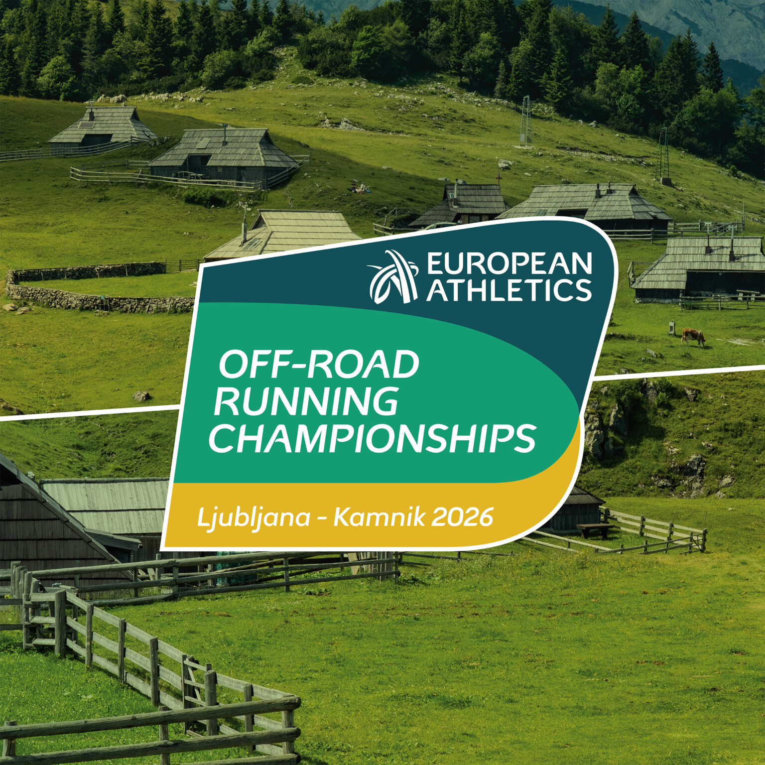 Tekmovanja in rezultati – ATLETSKA ZVEZA SLOVENIJE